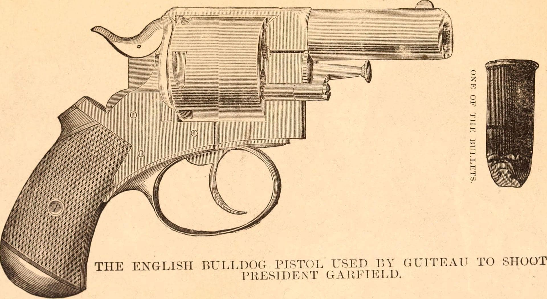 Who Is Charles Guiteau? Details About the Life of The Presidential Assassin