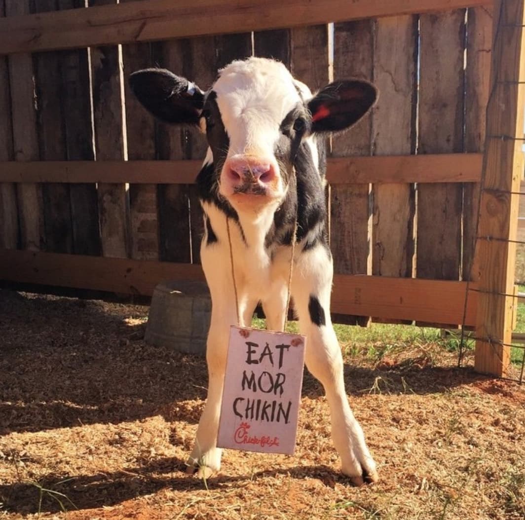 The 12 Best Fast Food Mascots, Ranked By Fans