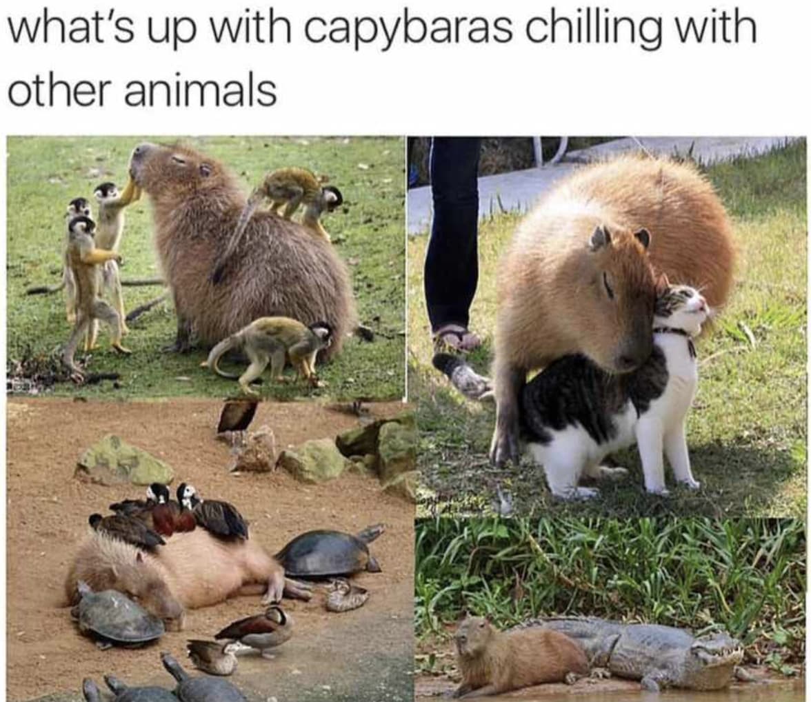 25 Random Pictures That Will Make You Smile