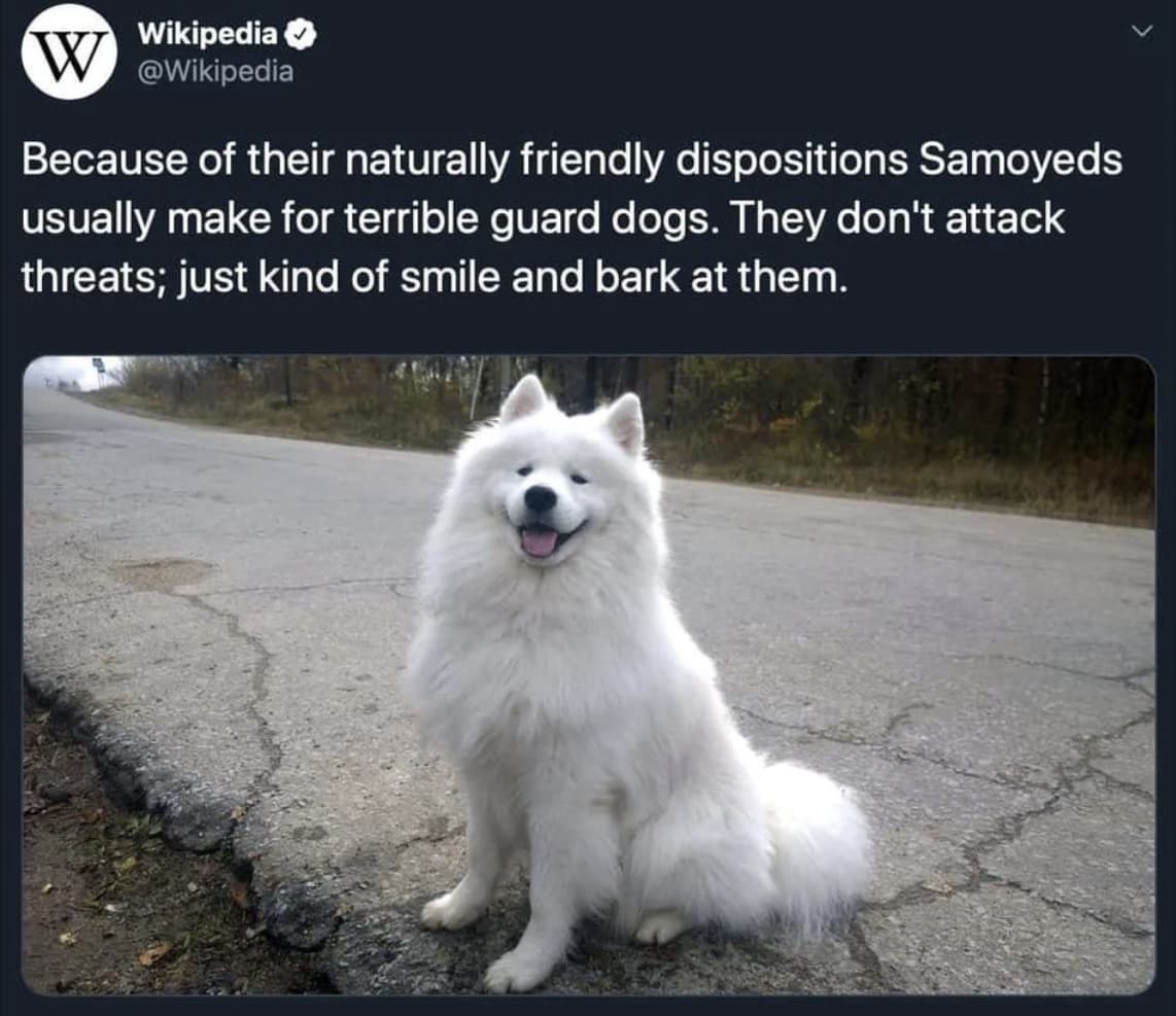 25 Random Pictures That Will Make You Smile