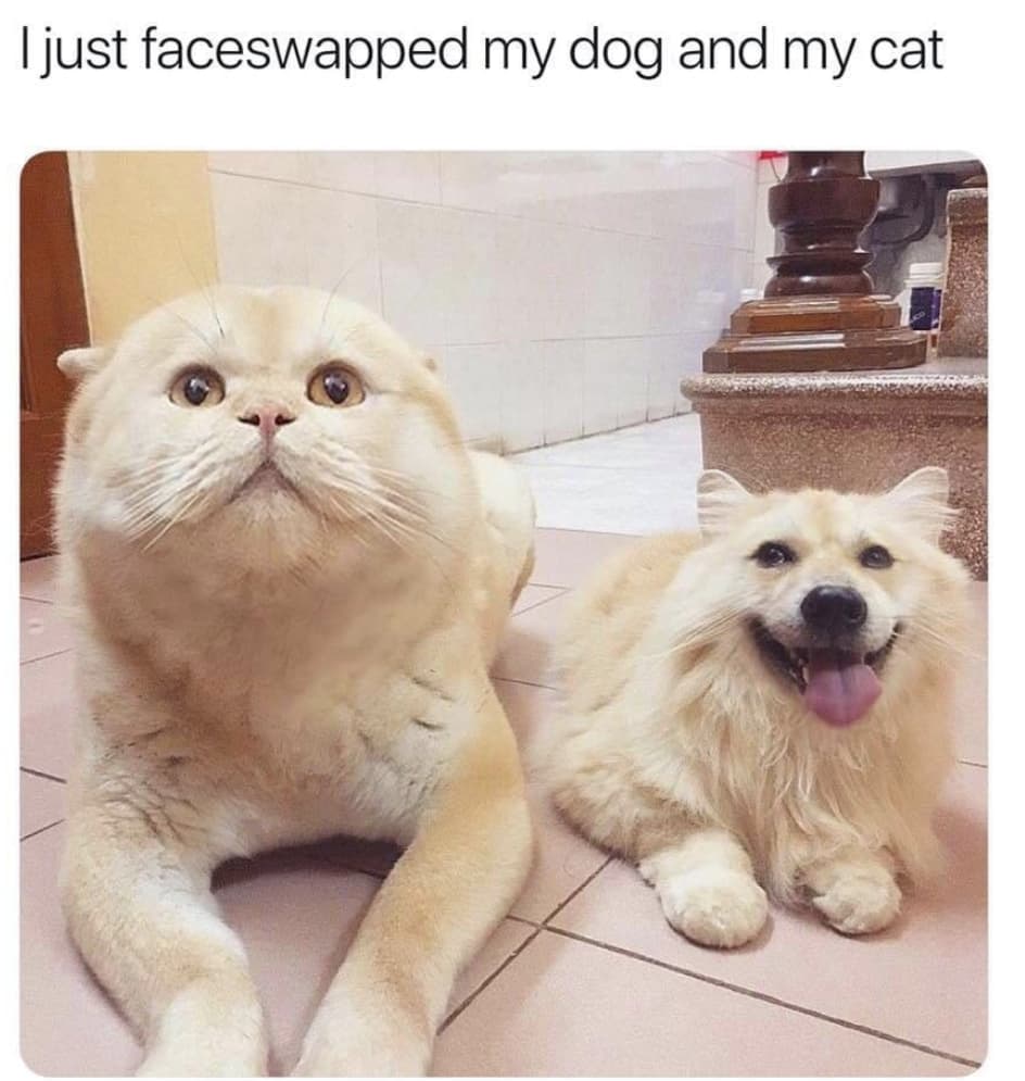 25 Random Pictures That Will Make You Smile