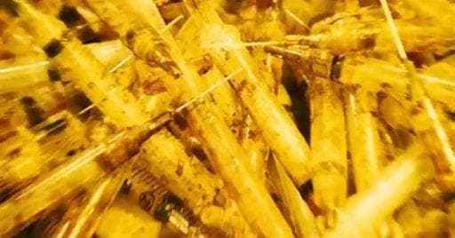 Behind The Scenes Of The 'Saw II' Needle Pit