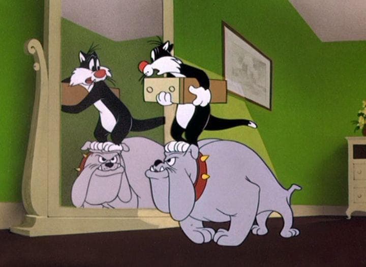 The Strongest 'Looney Tunes' Characters, Ranked By Fans