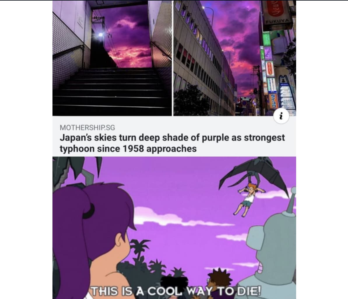 28 Memes Only People With Weird Senses Of Humor Will Understand