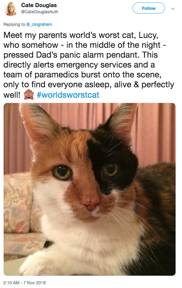 The Internet Weighs In On Who Actually Has The World’s Worst Cat