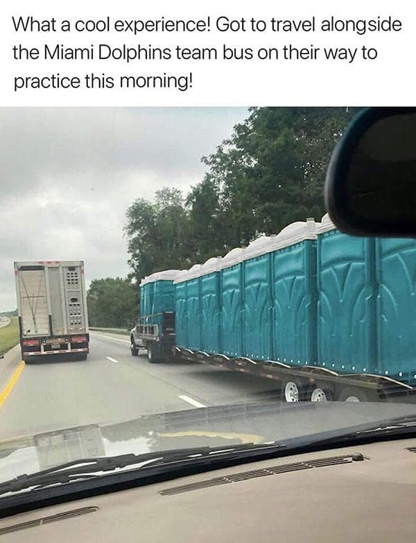 The 25 Funniest Miami Dolphins Memes, Ranked