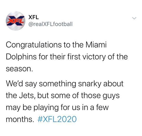 The 25 Funniest Miami Dolphins Memes, Ranked