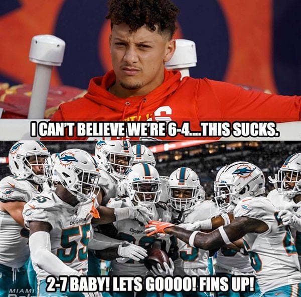 The 25 Funniest Miami Dolphins Memes, Ranked