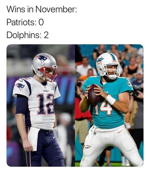 The 25 Funniest Miami Dolphins Memes, Ranked