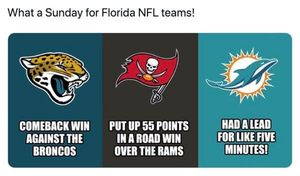 The 25 Funniest Miami Dolphins Memes, Ranked