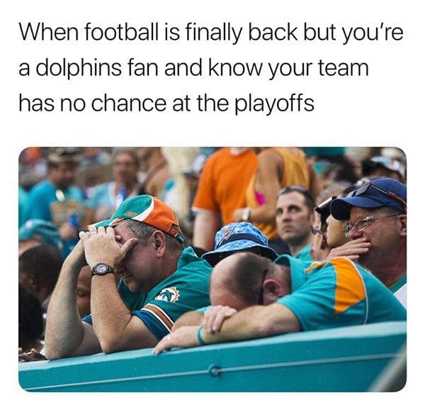 The 25 Funniest Miami Dolphins Memes, Ranked