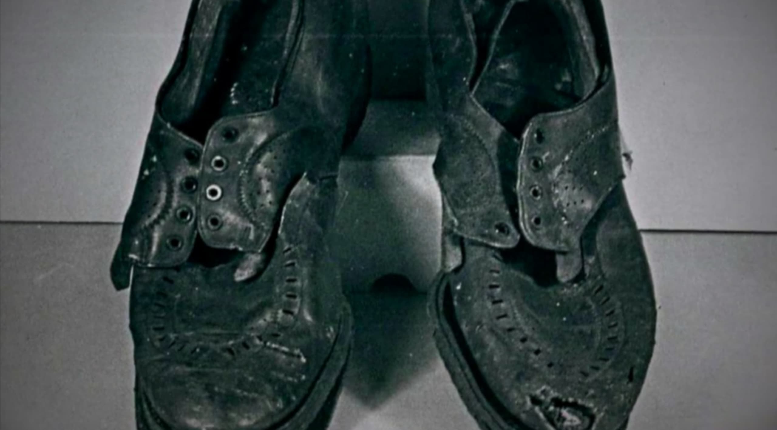 Who Put Bella In The Wych Elm? A Mystery That Has Stumped England Since ...