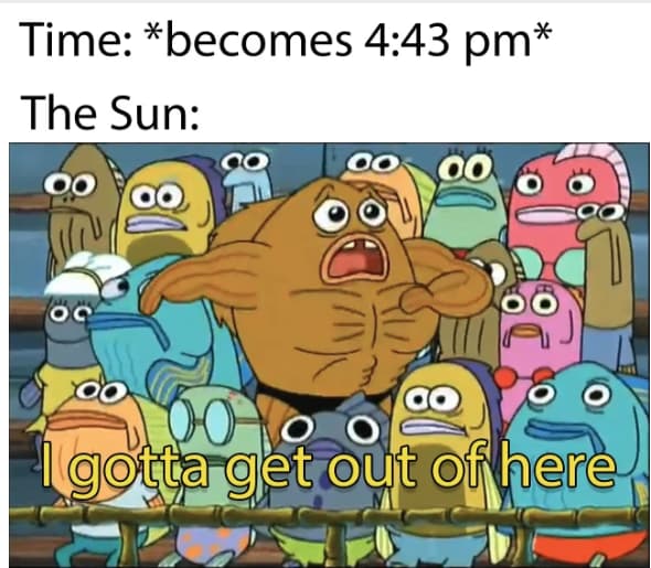 30 Random SpongeBob Memes For Serious Fans Only