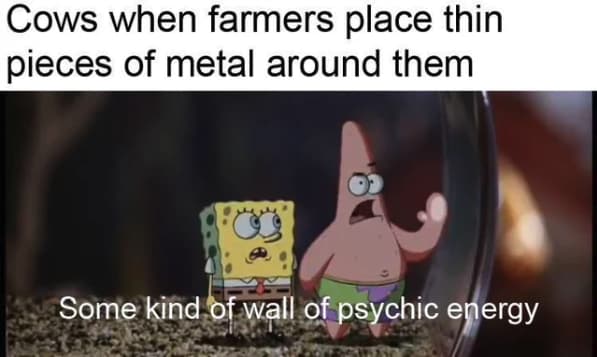 30 Random SpongeBob Memes For Serious Fans Only