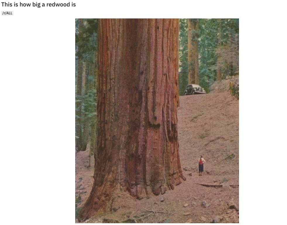 21 Fascinating Images That Make Our World So Much More Interesting