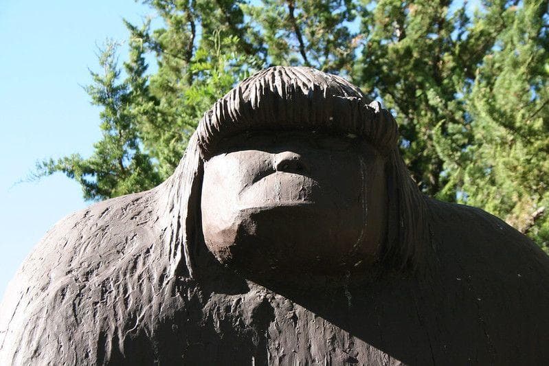 Surprisingly Plausible Real-Life Explanations For Mythical Creatures