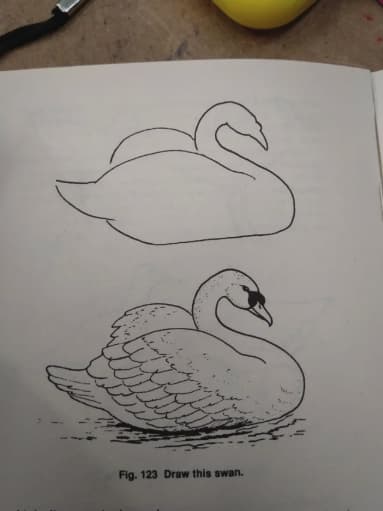 27 Examples Of Really Terrible Instructions That Help No One