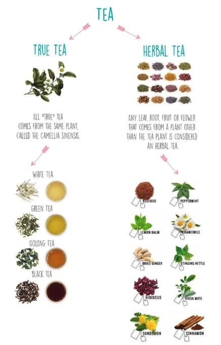 27 Infographics Fascinating Enough For People Who Hate Reading