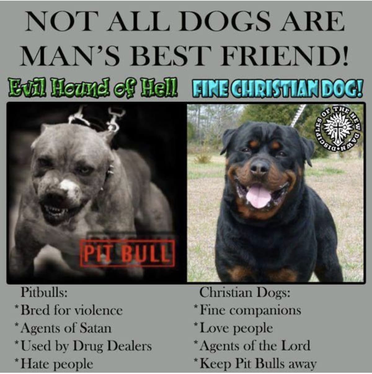 20 Times People Posted Crazy Things On Facebook