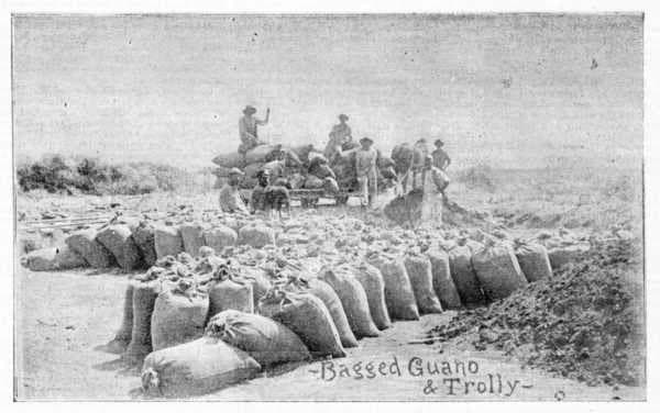 During The “Guano Boom” Peruvian Bird Poop Was As Good As Gold