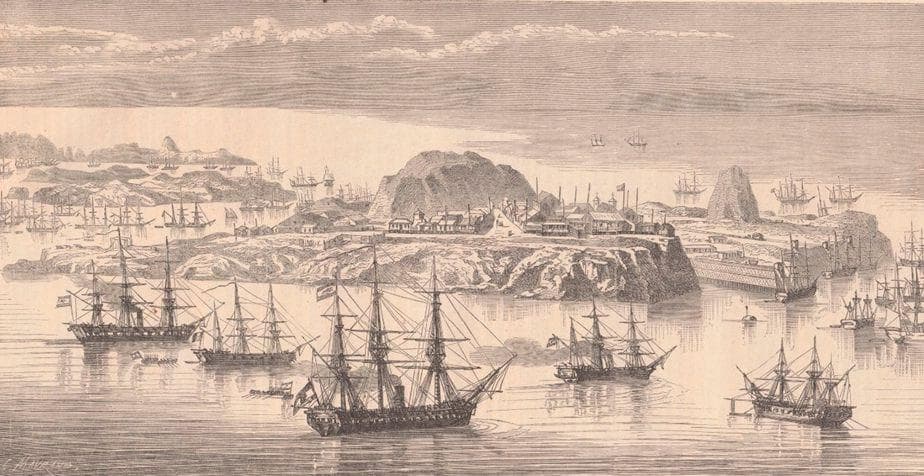 During The “Guano Boom” Peruvian Bird Poop Was As Good As Gold