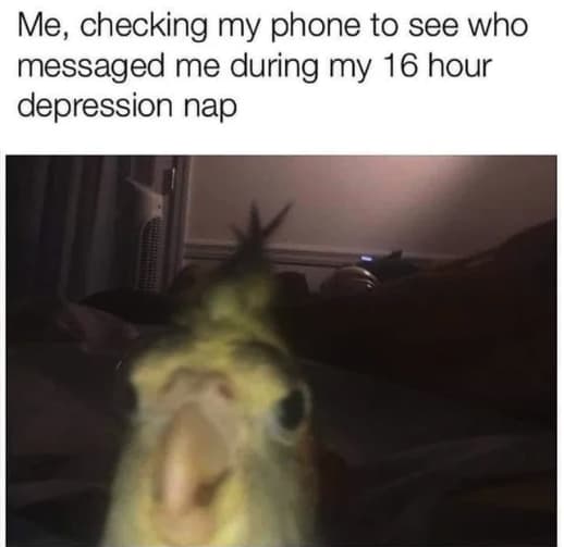 31 Memes That Only People Who Love Self-Deprecation Will Appreciate