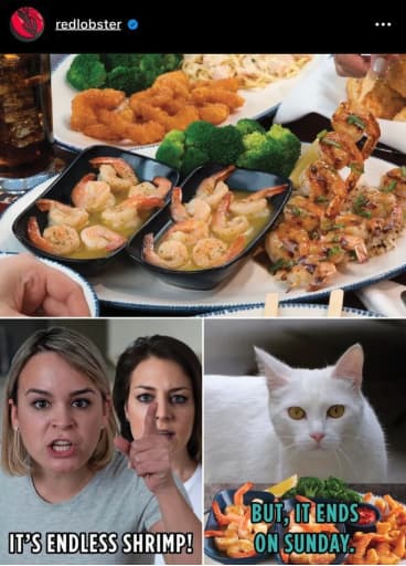 21 Cringe-y Instances Of Old People Trying To Use Memes