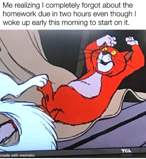 27 Memes That Will Only Make Sense To People With ADHD