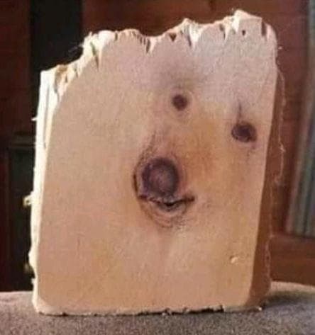 Everyday Objects That Look Like Animals, Ranked By Cuteness