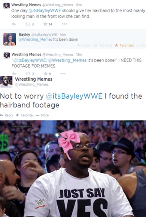 The 20 Funniest WWE Memes, Ranked By Fans