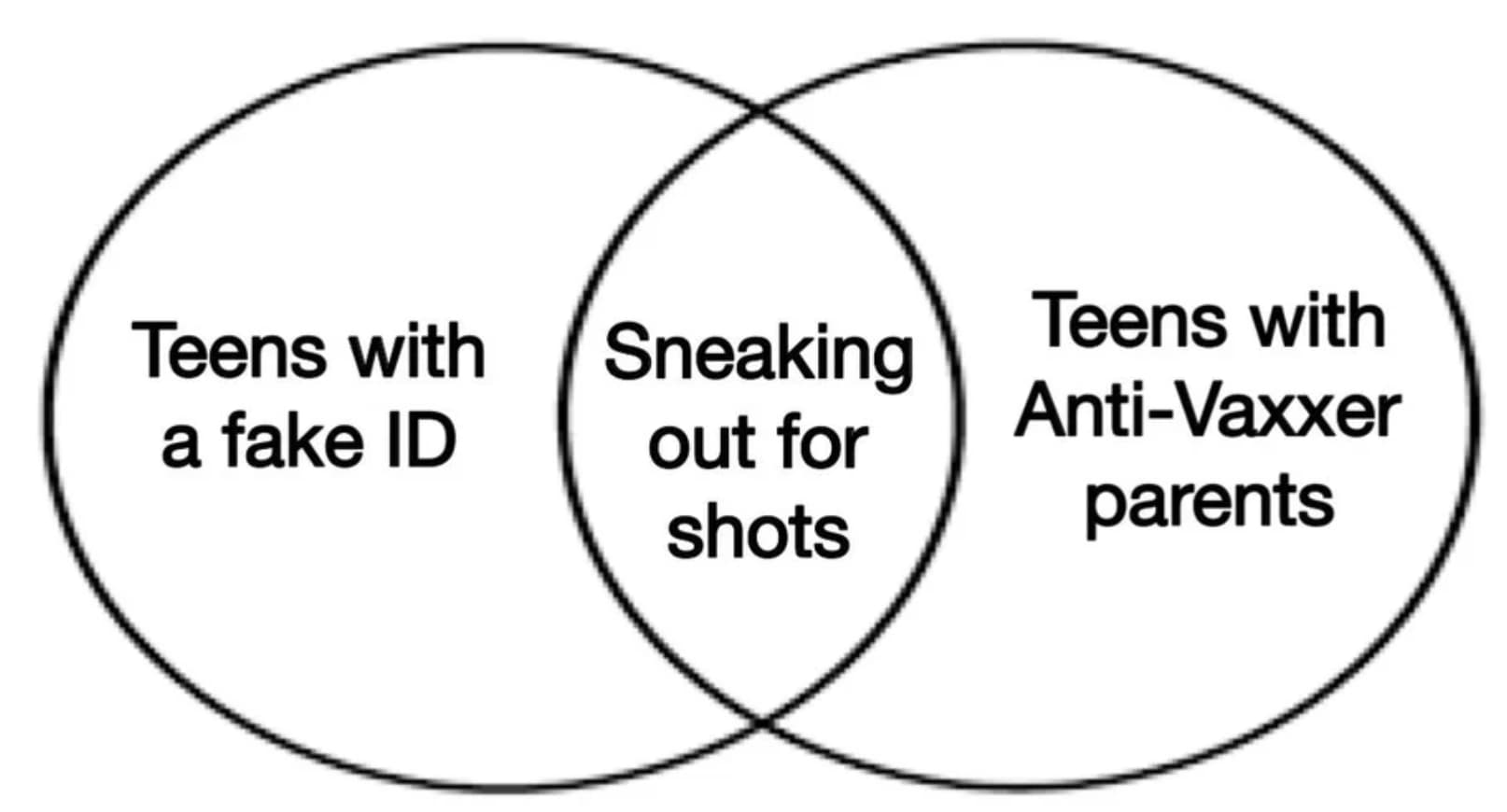21 Funny Venn Diagrams That Couldn't Be More Right