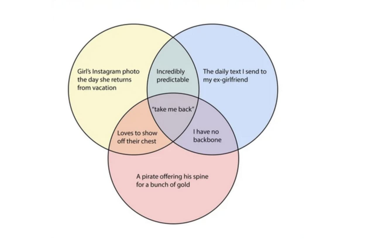 21 Funny Venn Diagrams That Couldn't Be More Right