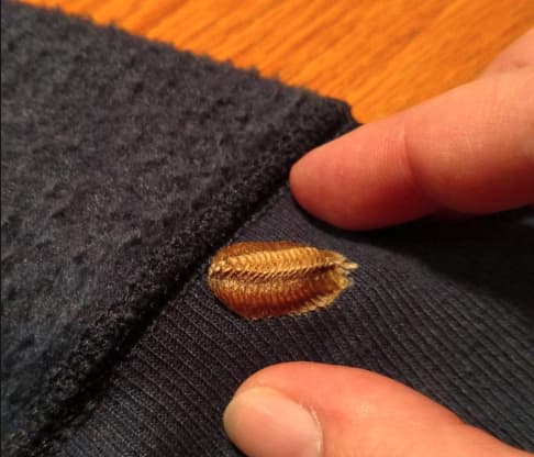 23 Pictures Of Creepy Objects We Can't Explain - Can You?