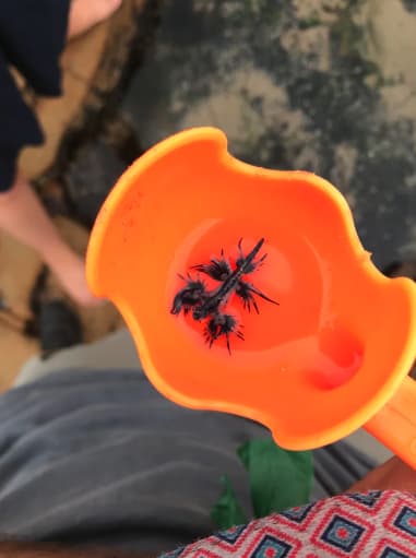 23 Pictures Of Creepy Objects We Can't Explain - Can You?