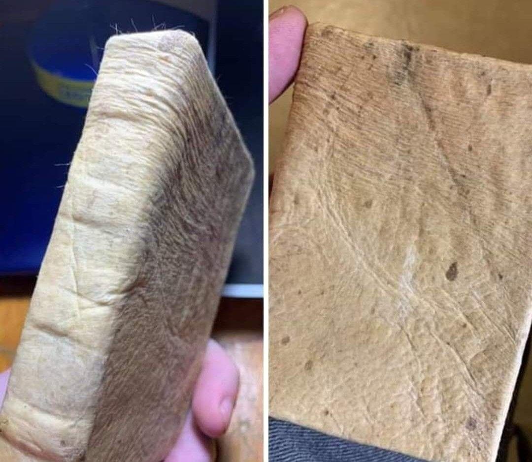 These "Cursed Images" Are The Most Uncomfortable Things You'll Ever ...