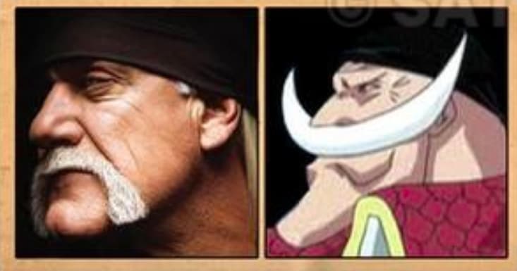 30 One Piece Characters Who Are Seemingly Based On Real People