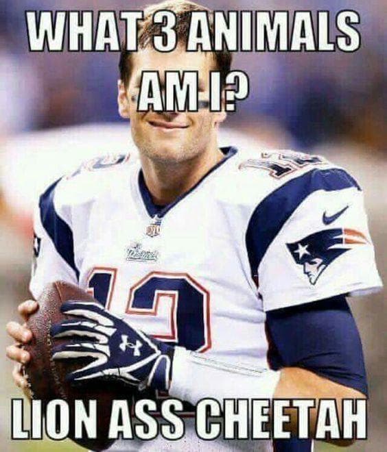 The 25 Funniest New England Patriots Memes, Ranked