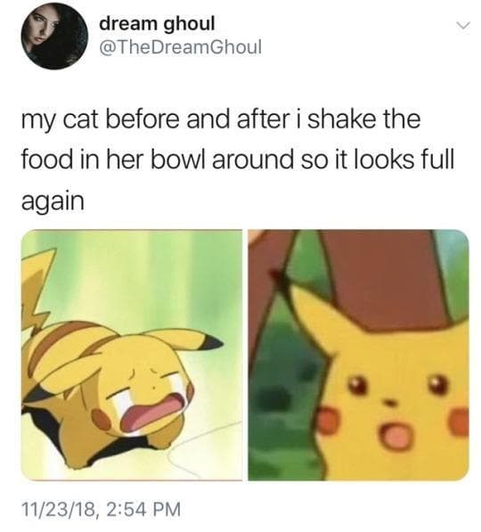 25 Super Relatable Memes About The Struggles Of Being A Cat Owner