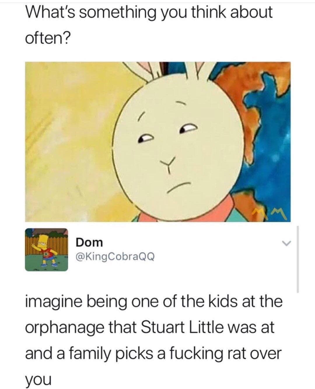 34 Weird Rat Memes That Only A Dirty Little Rodent Will Like