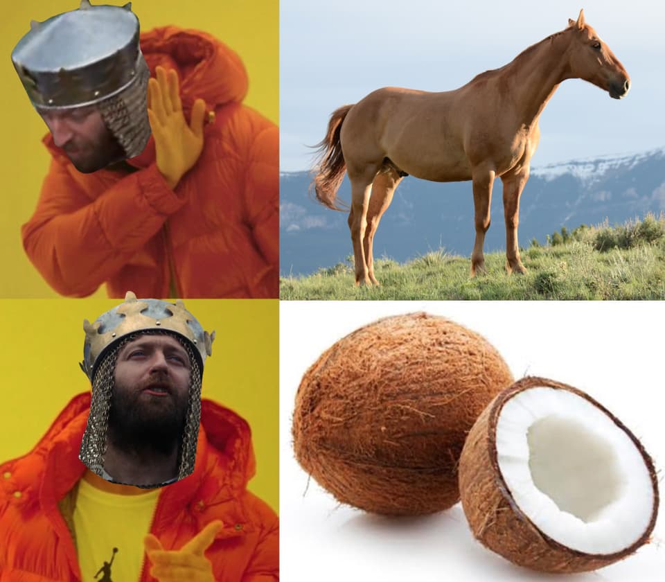18 Absurdly Funny 'Monty Python And The Holy Grail' Memes
