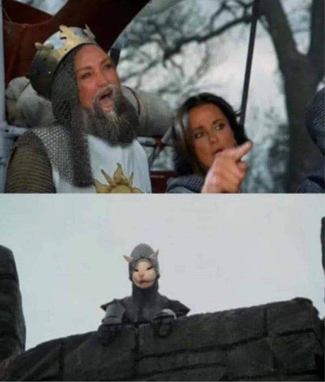 18 Absurdly Funny 'Monty Python And The Holy Grail' Memes