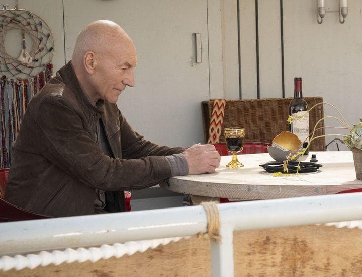 Easter Eggs And References From 'Star Trek: Picard' That Are Futile To ...