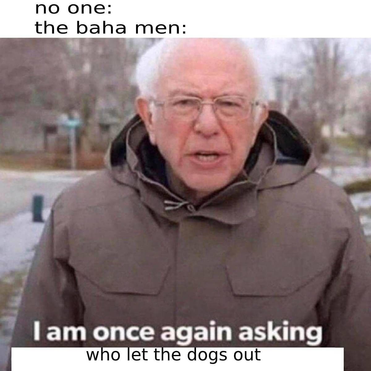 35 Of The Best "I Am Once Again Asking" Bernie Memes We Could Find On ...