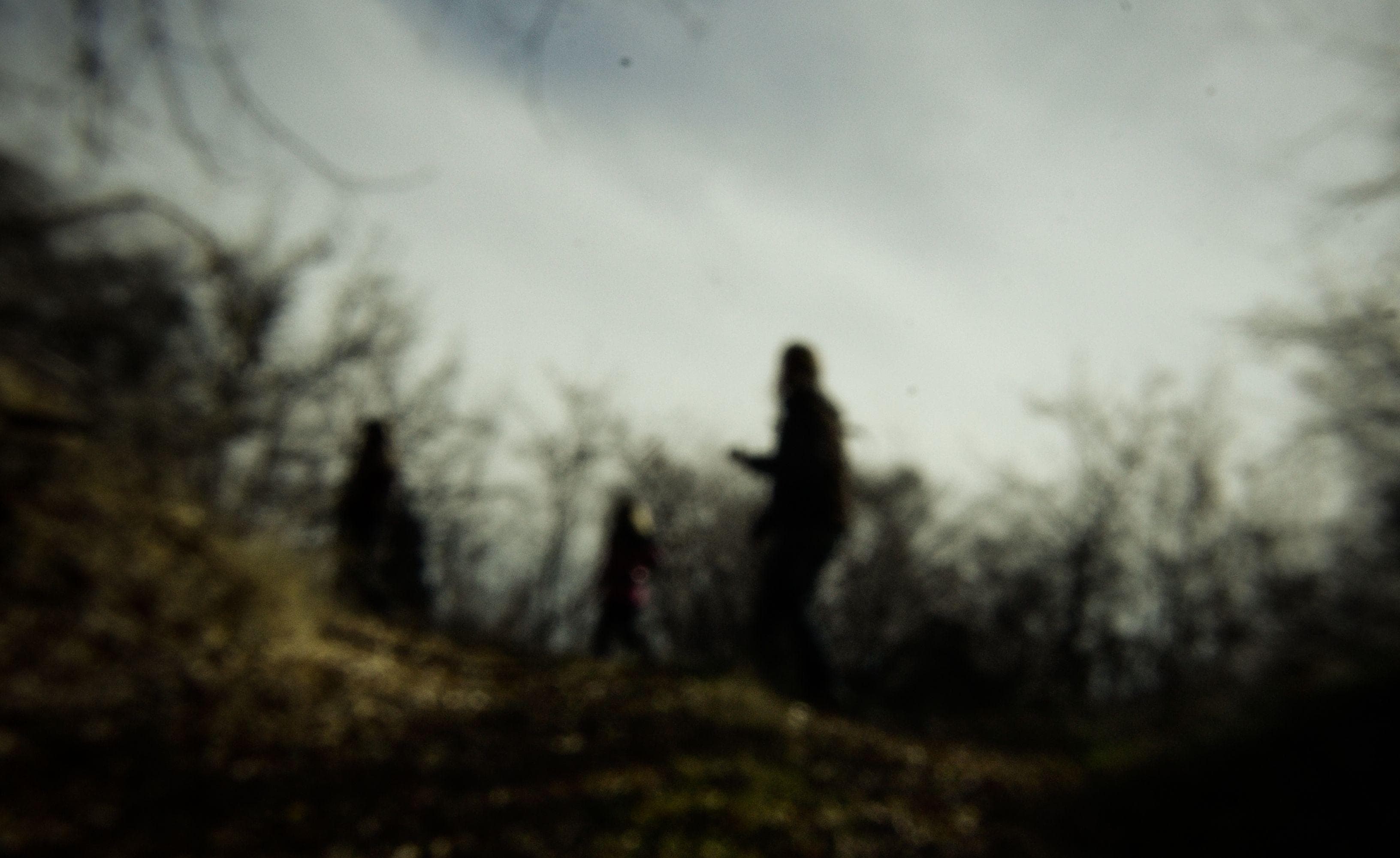 The Ohio Grassman Legend Tells Of The Sociable Buckeye Bigfoot