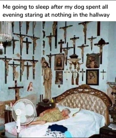 28 Twisted Memes Only True Horror Fans Will Find Funny