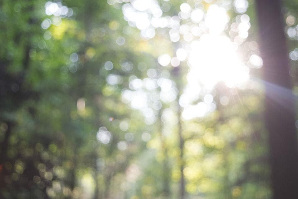 Recent Scientific Breakthroughs & 2020 Science News