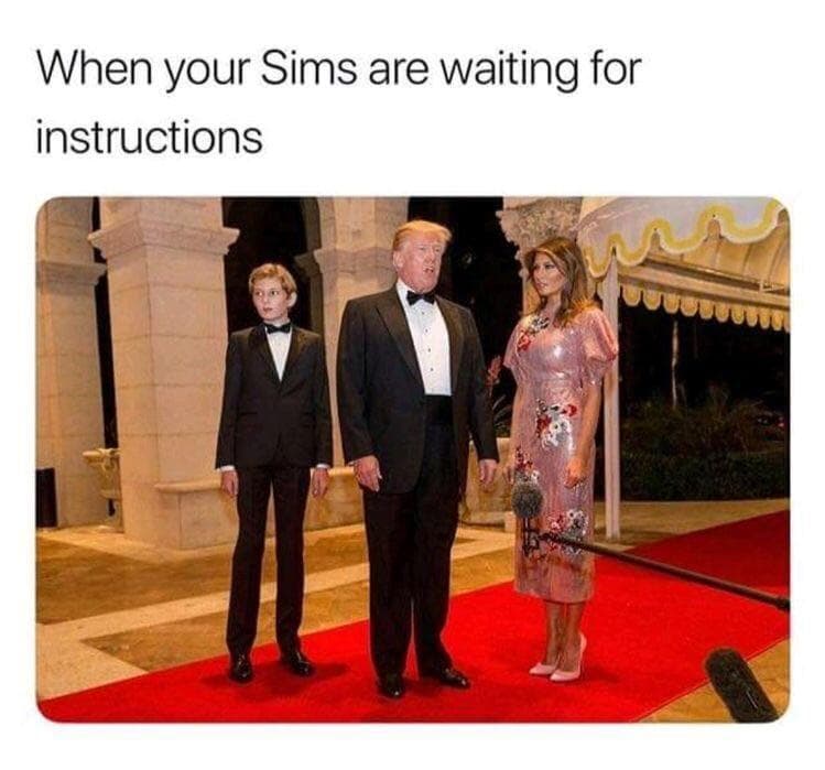 26 Memes About The Sims That Are Way Too Accurate