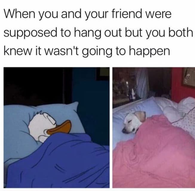 25 Perfect Memes For People Who Prefer Staying In Over Going Out