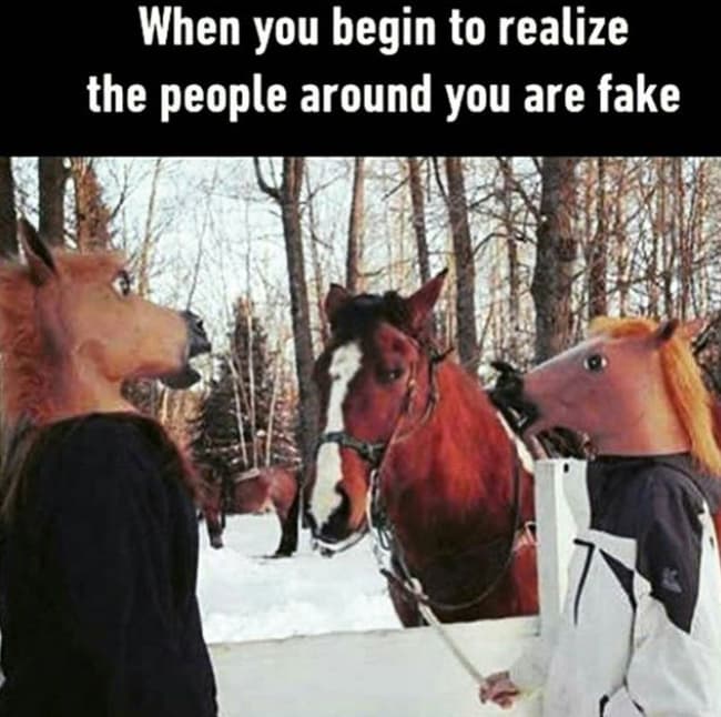 25 Perfect Memes For People Who Prefer Staying In Over Going Out