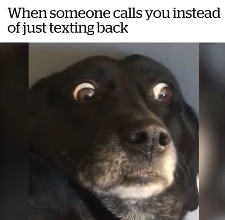 25 Perfect Memes For People Who Prefer Staying In Over Going Out